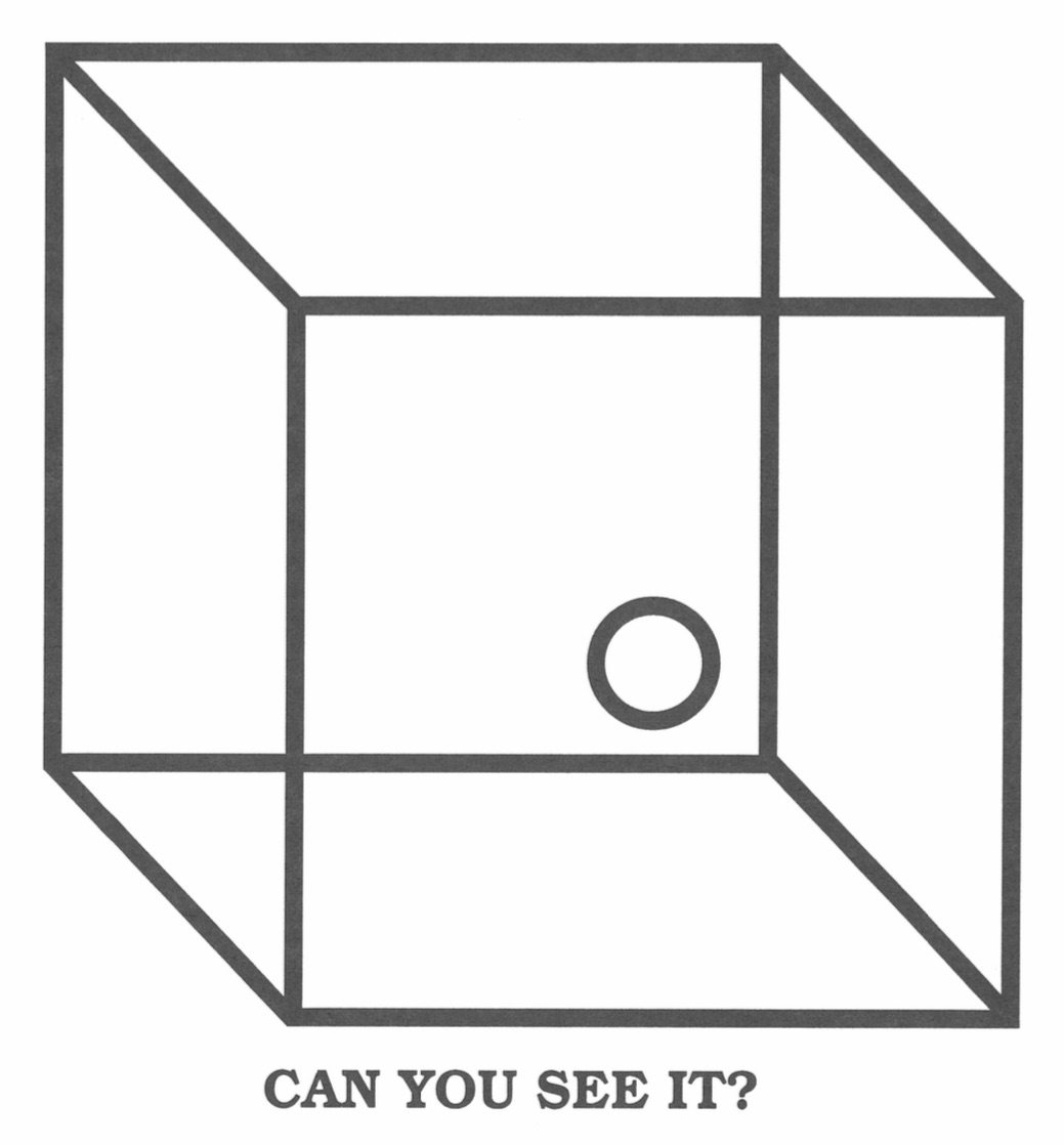 Meeting Activity: The Cube Opening – Magic Club Leadership Resources